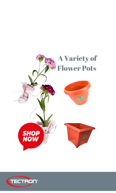 Tectron International